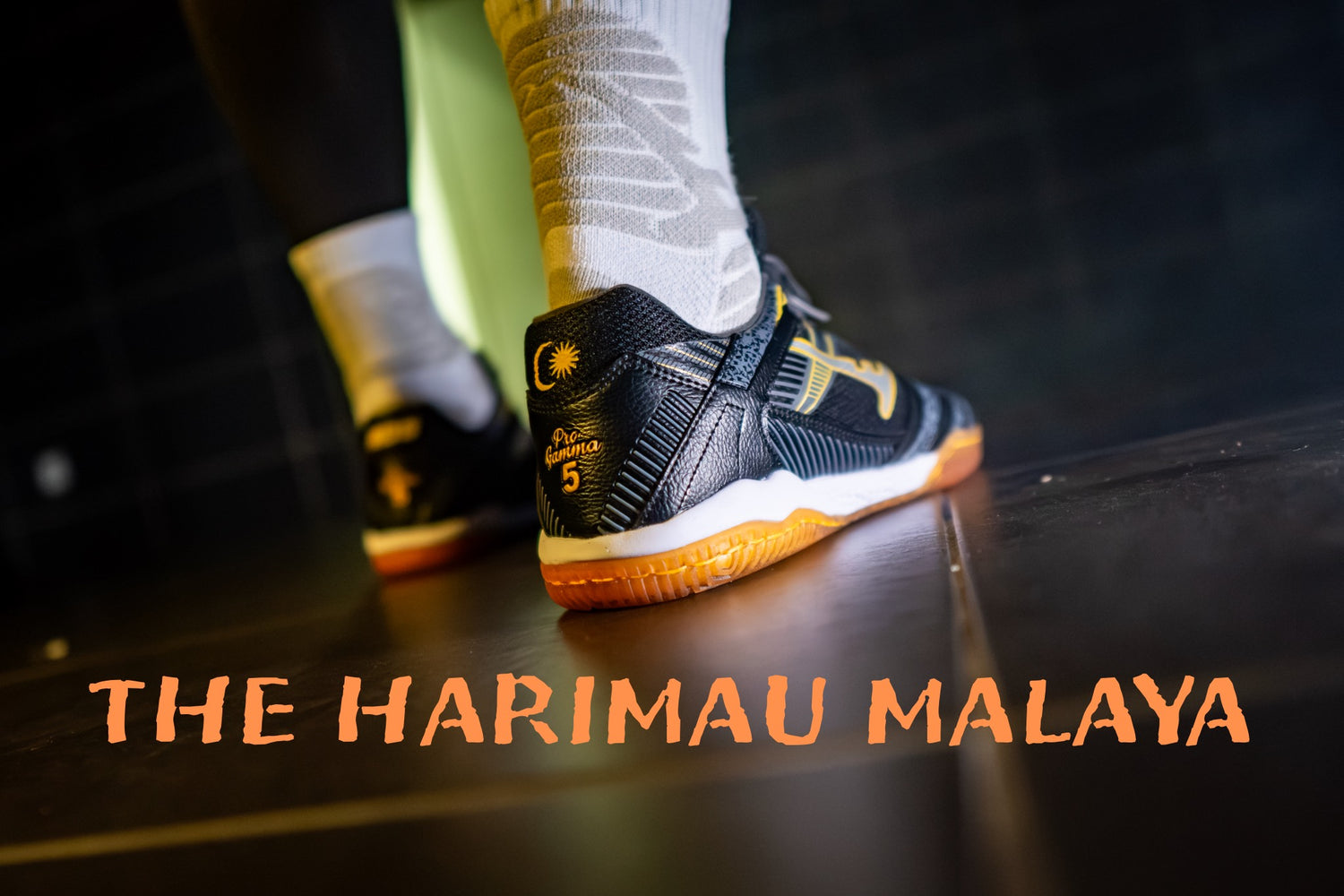 Futsal Shoes | Kasut Futsal | Netball | Sport Wear – FIGOS Sdn. Bhd ...
