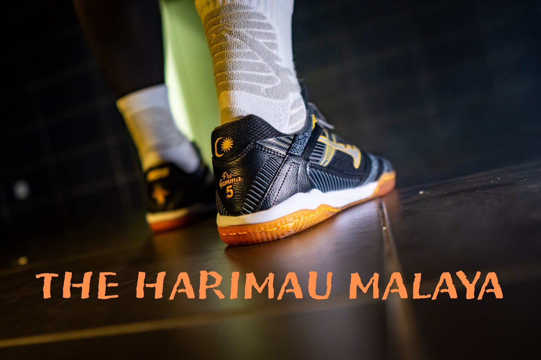 Futsal Shoes | Kasut Futsal | Netball | Sport Wear – FIGOS Sdn. Bhd ...